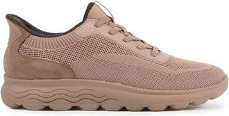 Geox Baskets basses &agrave; lacets