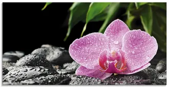 Artland ARTland Wanddeko Glasbilder Wandbild Glas Bild einteilig 60x30 cm Querformat Natur Asien Botanik Blumen Orchidee Steine Zen Entspannung Pink T5OQ