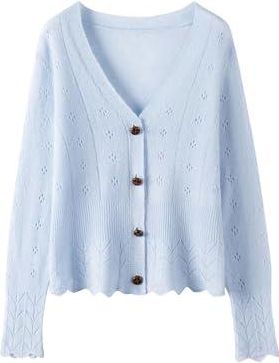 Generic Pull de printemps en laine &agrave; manches longues et col en V pour femme 100 % laine m&eacute;rinos, bleu ciel, Taille XL