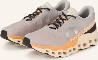 On Laufschuhe Cloudmonster 2 grau