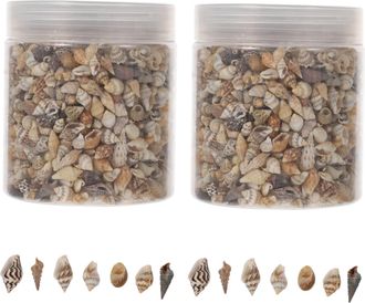 Soimiss 2 Boxen Nat&uuml;rliche Kleine Meeresschnecken Muschelf&uuml;llung Boxen f&uuml;r DIY Epoxidharz Schmuck Basteln Deko f&uuml;r Glasvasen Tischdeko und Kreative Handwerksp
