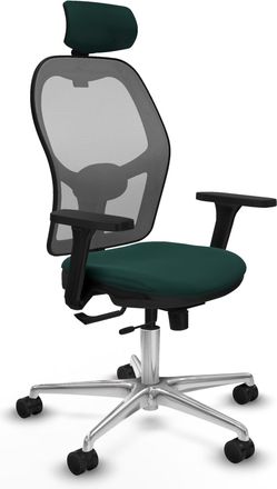 Piqueras y Crespo Ergonomischer Stuhl mit 3D-Armen, h&ouml;henverstellbare Lendenwirbelst&uuml;tze und h&ouml;henverstellbares Kopfteil, Grau/Flaschengr&uuml;n