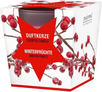 Pajoma Duftkerze, Winterfr&uuml;chte - im satinierten Glas | 120g Wachsgewicht, Brenndauer: 25 Stunden, in edler Geschenkverpackung | Premium Qualit&auml;t