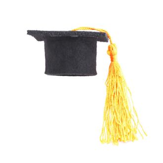 Amosfun Weinflasche Abdeckung Mini Doktor Bachelor Hut mit Quasten Flasche Deko Abschluss Party Deko Gastgeschenk (Gelb)