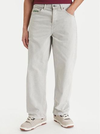 DC Jeans EDYDP03435 Grau Baggy Fit