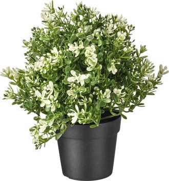 IKEA Ikea FEJKA Künstliche Topfpflanze 9 cm Thymian