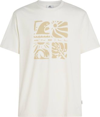O'Neill T-Shirt Melange Front Print