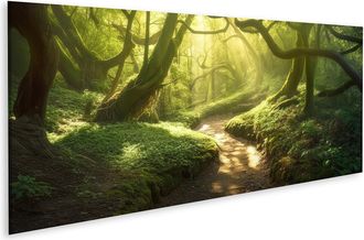 Islandburner Prime Bild auf Leinwand Pfad Sonnenstrahlen Verzauberten Wald Gewundenen Tief Bilder Wandbilder Poster