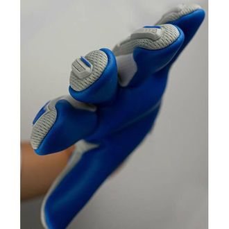 Reusch Torwarthandschuhe Attrakt Freegel Silver