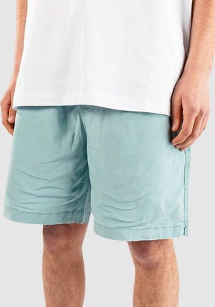 Quiksilver Taxer Ws Shorts aquifer