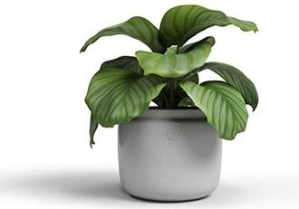 Artevasi Astrea Topf, Blumentopf, dekorativer Topf, Handgemachte Keramik, Farbe Hellgrau, 20cm