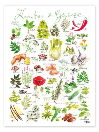 Posterlounge Kräuter & Gewürze Poster von Andreas Hirsch 90 x 120 cm Wandbilder Wanddeko