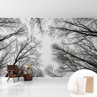 Tulup Tapete Vliestapete Mit Kleber - Wanddekoration Wohnzimmer - Tapete Schlafzimmer Kahle &Auml;ste 416x254 Cm