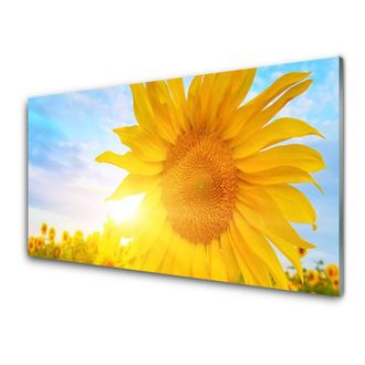 Tulup Glasbilder 100x50cm - Wandbild Druck auf Glas XXL Panorama-Bild Wandbilder aus Echt-Glas Sicherheitsglas Kunstdruck f&uuml;r K&uuml;che Wohnzimmer Sonnenblume P