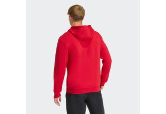 adidas Performance Kapuzensweatshirt ENTRADA26