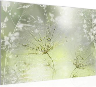 Runa Art Bild Pusteblume Modern Wandbilder Wohnzimmer Schlafzimmer 1 Teilig - Made In Germany - Gr&auml;ser Gr&uuml;n Grau Flur 205615b