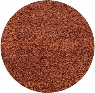 LIFE Tapis Rond Shaggy Uni Poils Longs Tapis Salon Chambre (Terracotta - 160x160cm)