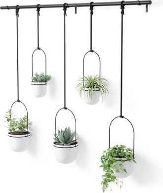 Umbra Triflora Vase, Hängeblumentopf, Wandvase, Blumenampel für Wand- und Deckenanbringung, 5er-Set, Weiss, 5 Töpfe