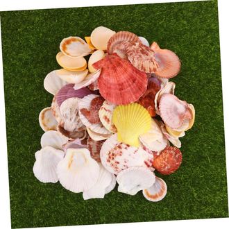 Pretyzoom Natürliche Muscheln und Meeresschnecken Beutel Aquarium Dekoration Meeresstil Landschaftszubehör DIY Foto Rahmen Materialien Zufällige Farben für Fisc