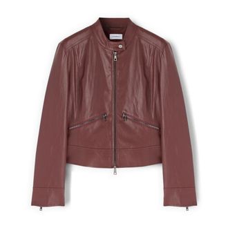 Motivi Femme, Vestes, Brun, Taille: 46 FR Veste Biker Col Mao