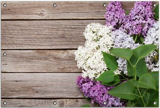 Wallario Outdoor-Poster f&uuml;r Garten oder Balkon Fliederbl&uuml;ten auf Holz, Motivbanner Gr&ouml;&szlig;e: ca. 80 x 120 cm, Outdoor-Bild