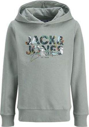 Jack & Jones Hood Jjgeplas Sweat &agrave; Capuche JNR, Iceberg Green, 176 Homme