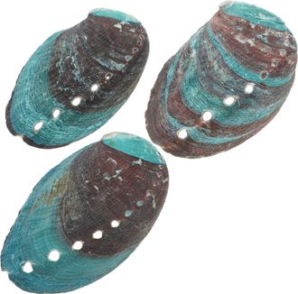 Milisten 3st Abalone-Muschel Zum Verwischen Abalone-Muschel- Brenner Halter Verschmierende Brennschale Abalone-Schale Verwischen Muschelopfer Tablett Aus Abalo