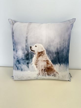 CB Home & Style Outdoor Garten Kissen Wasserabweisend 45 x 45 cm Weihnachten Winter (Hund)