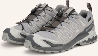 Salomon Trailrunning-Schuhe Xa Pro 3d v9 Gtx grau