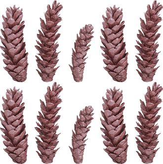 Matches 21 Deko-Zapfen Pinienzapfen 10-25 cm Altrosa als Bastelbedarf - Natur Tannenzapfen lackiert 10er Set