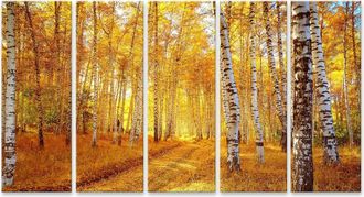 Islandburner Prime Bild auf Leinwand Herbst Birkenwald Bilder Wandbilder Poster