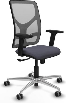 Piqueras y Crespo Schreibtischstuhl, grau, mit 2D-Armlehnen, h&ouml;henverstellbare Lendenwirbelst&uuml;tze, ausgestattet mit 3 Positionen und Schneideschaum, mit Rollen von 65 m