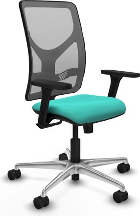 Piqueras y Crespo Stuhl mit R&uuml;ckenlehne f&uuml;r Lendenwirbels&auml;ule, mit 3D-Armlehnen, ausgestattet mit 3 Positionen und Schneideschaum, mit Rollen von 65 mm, Nylon, Grau/T&uuml;r