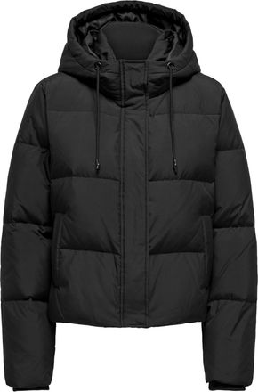 Only Female Jacke ONLALICE Jacke