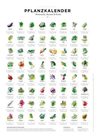 531 Rheinland Design Pflanzkalender und Aussaatkalender f&uuml;r den Garten, Aussaatzeiten f&uuml;r 64 verschiedene Gem&uuml;sesorten als Poster in Farbe mit und ohne Rahmen A2 (42 x 59,