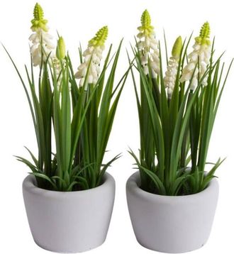 Botanic-Haus künstliches Muscariarrangement/Traubenhyazinthe im grauen Zementtopf Farbe: Creme (2 Stück)