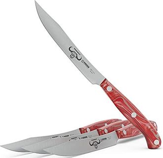 GIESSER seit 1776 - Made in Germany - Steakmesser 4er Set Red Diamond, Klinge 12 cm, PremiumCut Steak No 1, Acryl, rot, rostfrei, deutsches Grillmesser scharf