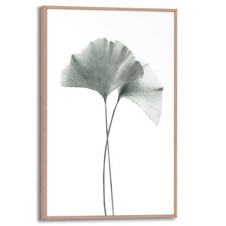 Reinders Gerahmtes Bild, Ginkgo Blatt, Wohnzimmer, Bilder, Wanddeko, Room Decor, MDF, Gr&uuml;n, 30 x 20