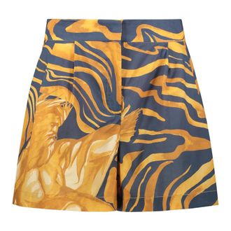 Alberta Ferretti Damen, Shorts, Mehrfarbig, LGr&ouml;&szlig;e