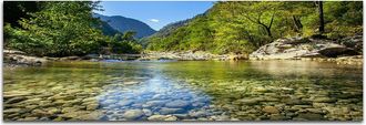 Paul Sinus Art Panoramabild auf Leinwand und Keilrahmen 150x50cm Wald Bach Steine Wildnis Natur Sommer