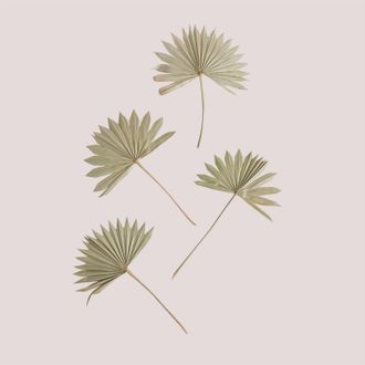 Sklum Packung mit 4 dekorativen getrockneten &Auml;sten von Urpek Bamboo Gr&uuml;n