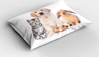 Abakuhaus Hund und Katze Kissenbezug, Häschen Piglet Staring, Dekorativer Standard King Size Gedruckter Kissenbezug, 80 x 40 cm, Blasse Pfirsich Taupe Dunkelgra