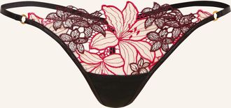 Bluebella String Calantha rot