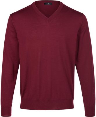 Peter Hahn V-Pullover Peter Hahn rot