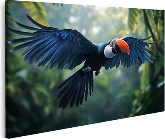 Islandburner Prime Bild auf Leinwand Fliegender Tukan im grünen Dschungel sky Bilder Wandbilder Poster