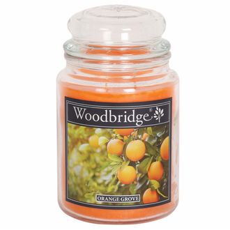 Woodbridge Candle Duftkerze Orange Grove, Johannisbeere & Orange, Kerze im Glas, 565 g, 2 Dochte, 130 h Brenndauer, orange