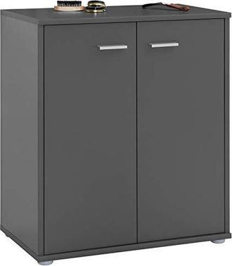 IDIMEX Meuble &agrave; Chaussures Olympe, Commode Meuble de Rangement avec 2 Portes avec 4 tablettes int&eacute;rieures, en m&eacute;lamin&eacute; Gris Mat