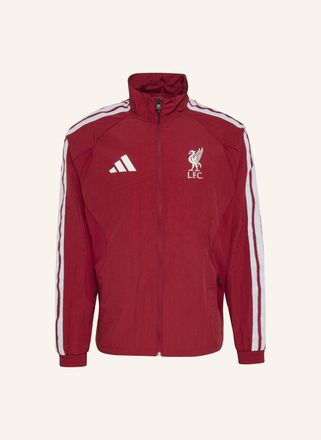 adidas Fc Liverpool Anthem Heimjacke rot
