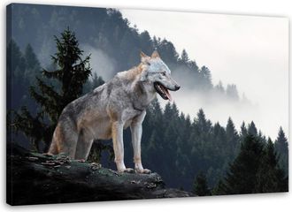 Feeby Bilder Wolf 120x80 cm 1 Teilig Wohnzimmer Schlafzimmer Büro Flur Küche Wandbilder Leinwandbilder Modern Bild auf Leinwand Wanddekoration Kunstdruck De