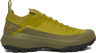 Arc'teryx Trekkingschuhe Verte Alpine Gtx Gore-Tex X000009602 Grün